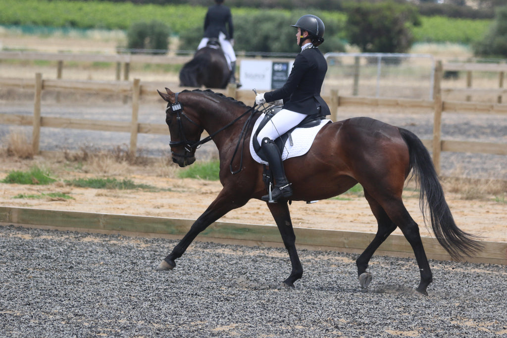 Maddison Collins – Peter Williams Riding Apparel