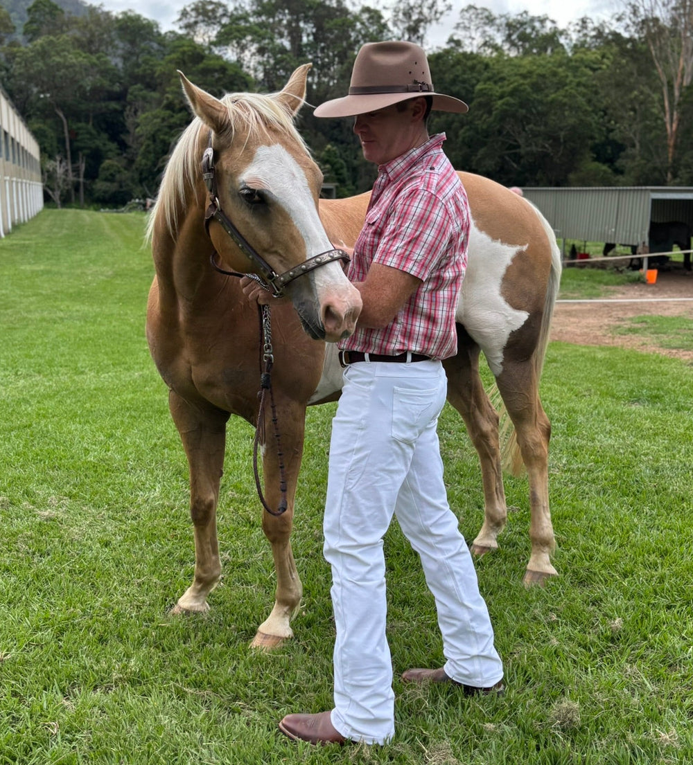 Jodhpurs & Breeches – Peter Williams Riding Apparel